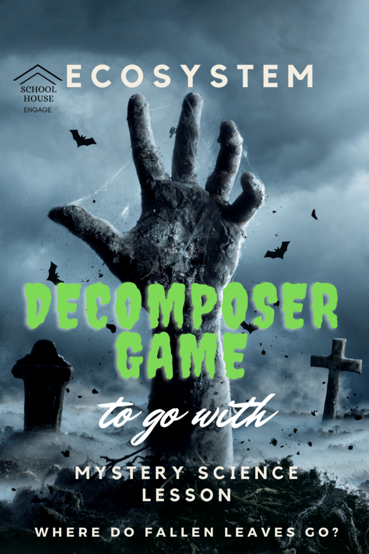 How to Play the Ecosystem Game - Schoolhouse Engage