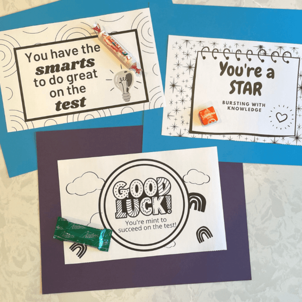 8 Ideas To Get Your Students Motivated for State Testing - Schoolhouse ...