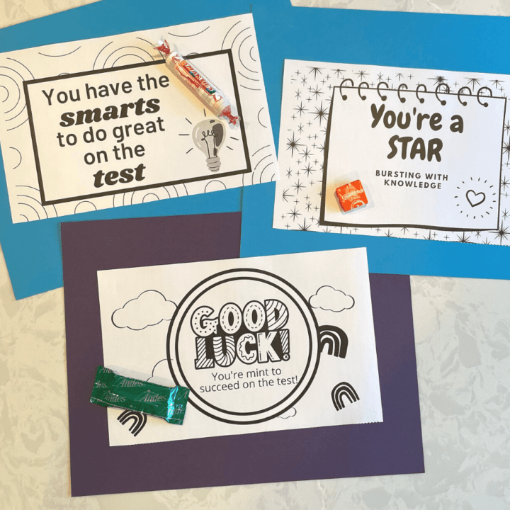 8 Ideas To Get Your Students Motivated for State Testing - Schoolhouse ...