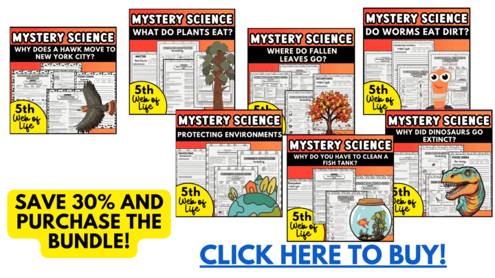 Mystery Science in 5th-Grade: Tips and Ideas for Implementation ...