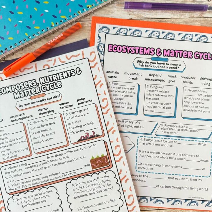 Engage Students with Mystery Science Guided Notes Worksheets ...