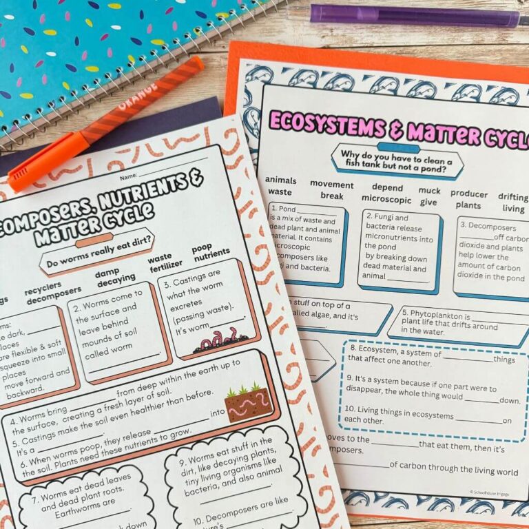 Engage Students with Mystery Science Guided Notes Worksheets ...